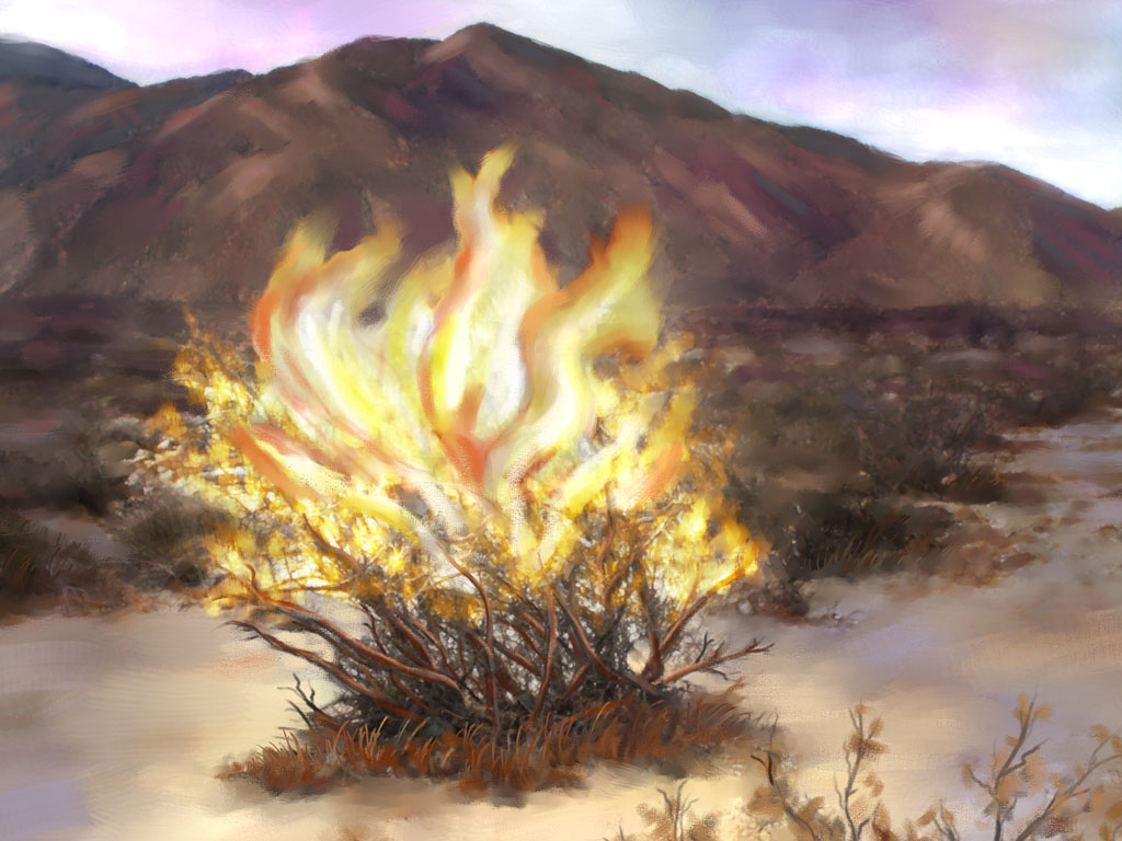 burningbush – Apostolic Childrens Ministry